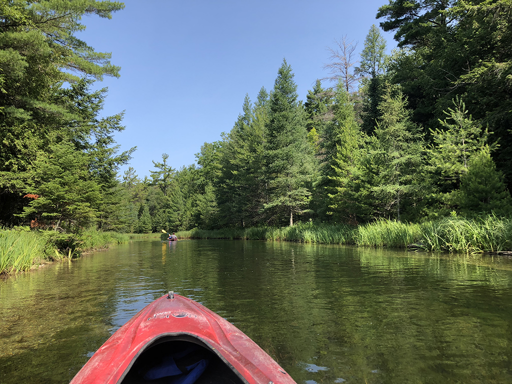 Kayaking the Crystal River – Great Lakes Loving